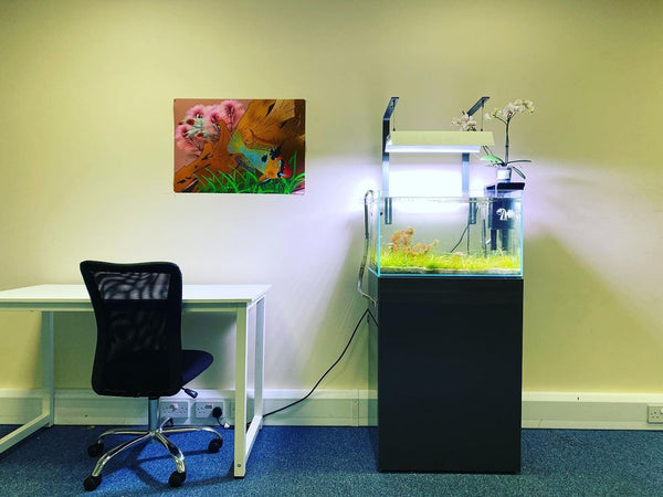 Enjoy an aquascape in your office space - CO2Art.eu